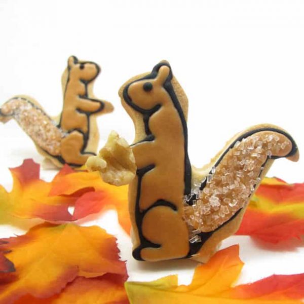 Squirrel cookies: How to decorate squirrel cookies with royal icing for ...