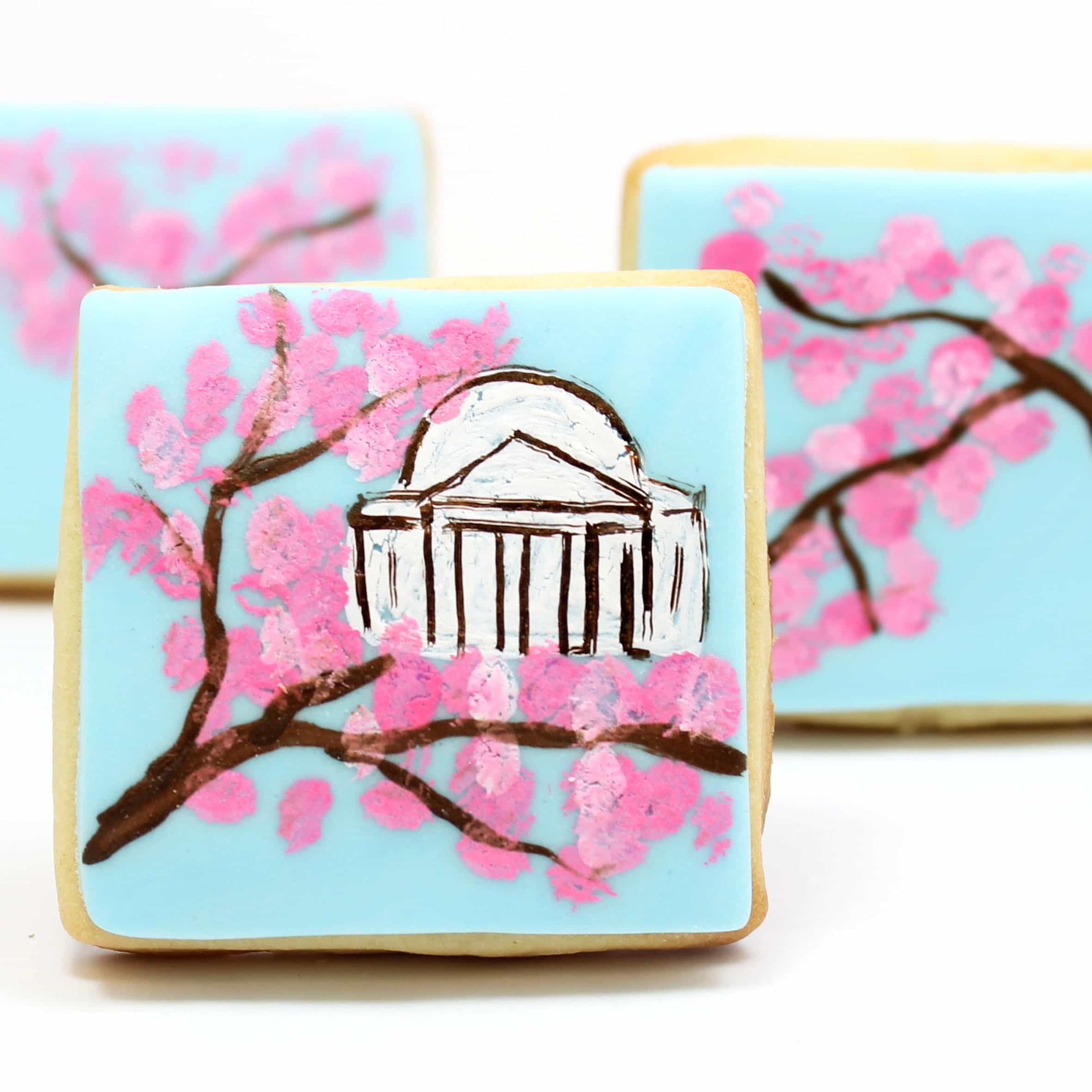 PAINTED CHERRY BLOSSOM COOKIES for Spring in Washington DC