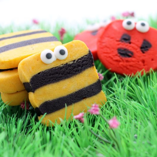 Simple ladybug and bumble bee slice and bake cookies