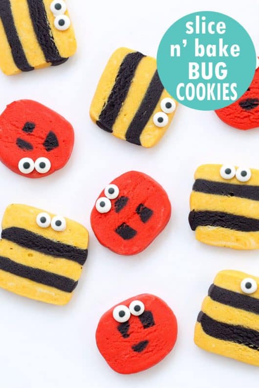 Simple ladybug and bumble bee slice and bake cookies