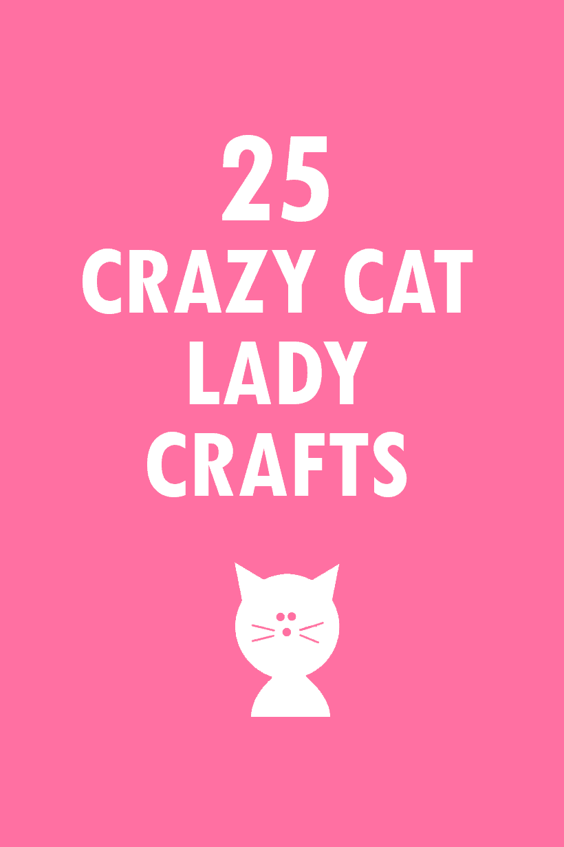 A roundup of awesome cat crafts for crazy cat ladies.